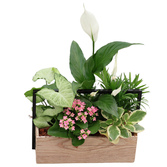 Modern Rustic Rectangle Planter | Songbird Florals